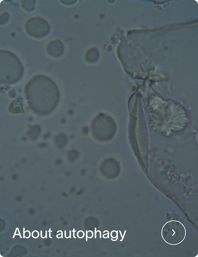 Valter Longo – Prolon Life